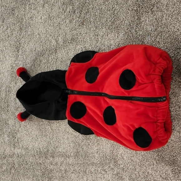 Dream Play Imagine | Costumes | Ladybug Costume | Poshmark